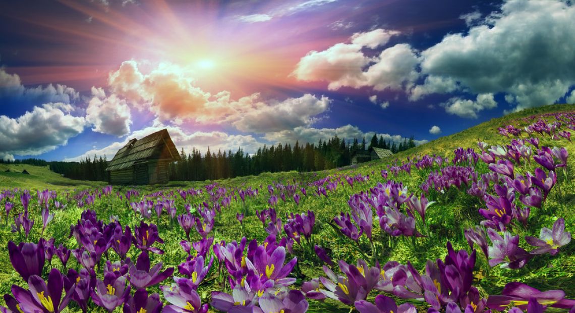 Best Country: The climate of Ukraine